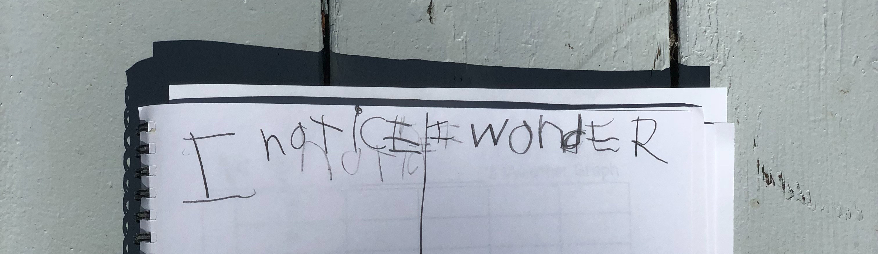 wellness – cultivated curiosity